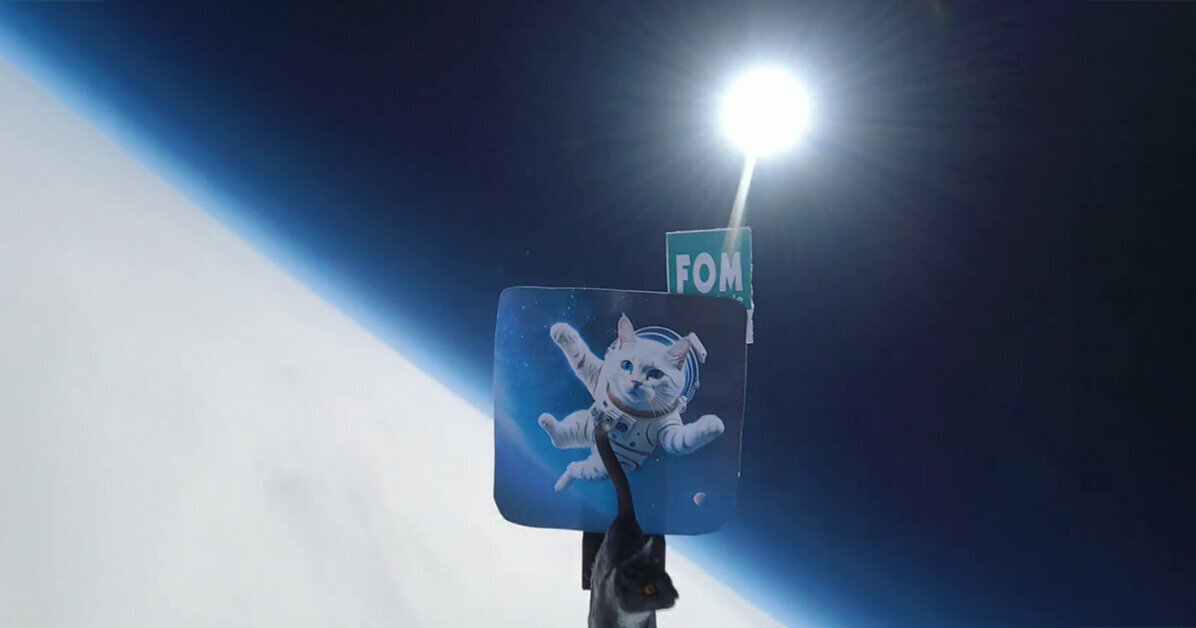Mit „Cat Mission“ in die Stratosphäre – Feriencamp „zdi am Rande des ...